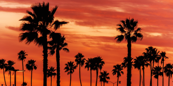 Coachella 2026 Opens with a Cross-Generational Celebration of Music and ...
